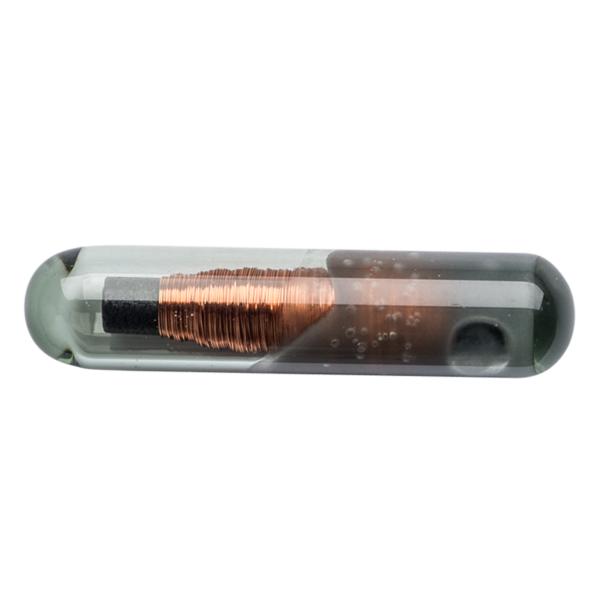 Cutting-Edge PIT Tags for Aquatic Tracking - Voda IQ
