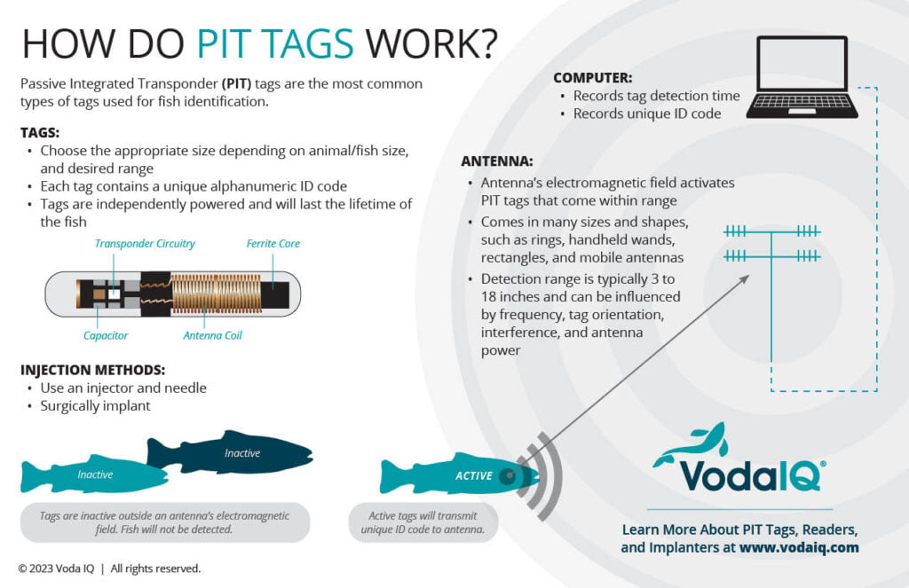 How PIT Tags Work: Explore VodaIQ's Technology & Products
