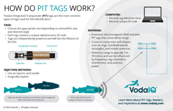 How PIT Tags Work: Explore VodaIQ's Technology & Products
