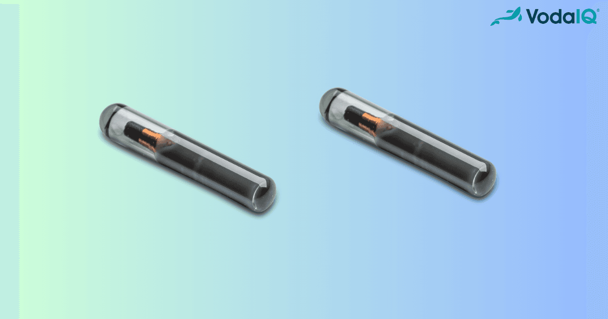 Beyond the Waters: The Versatile World of PIT Tags